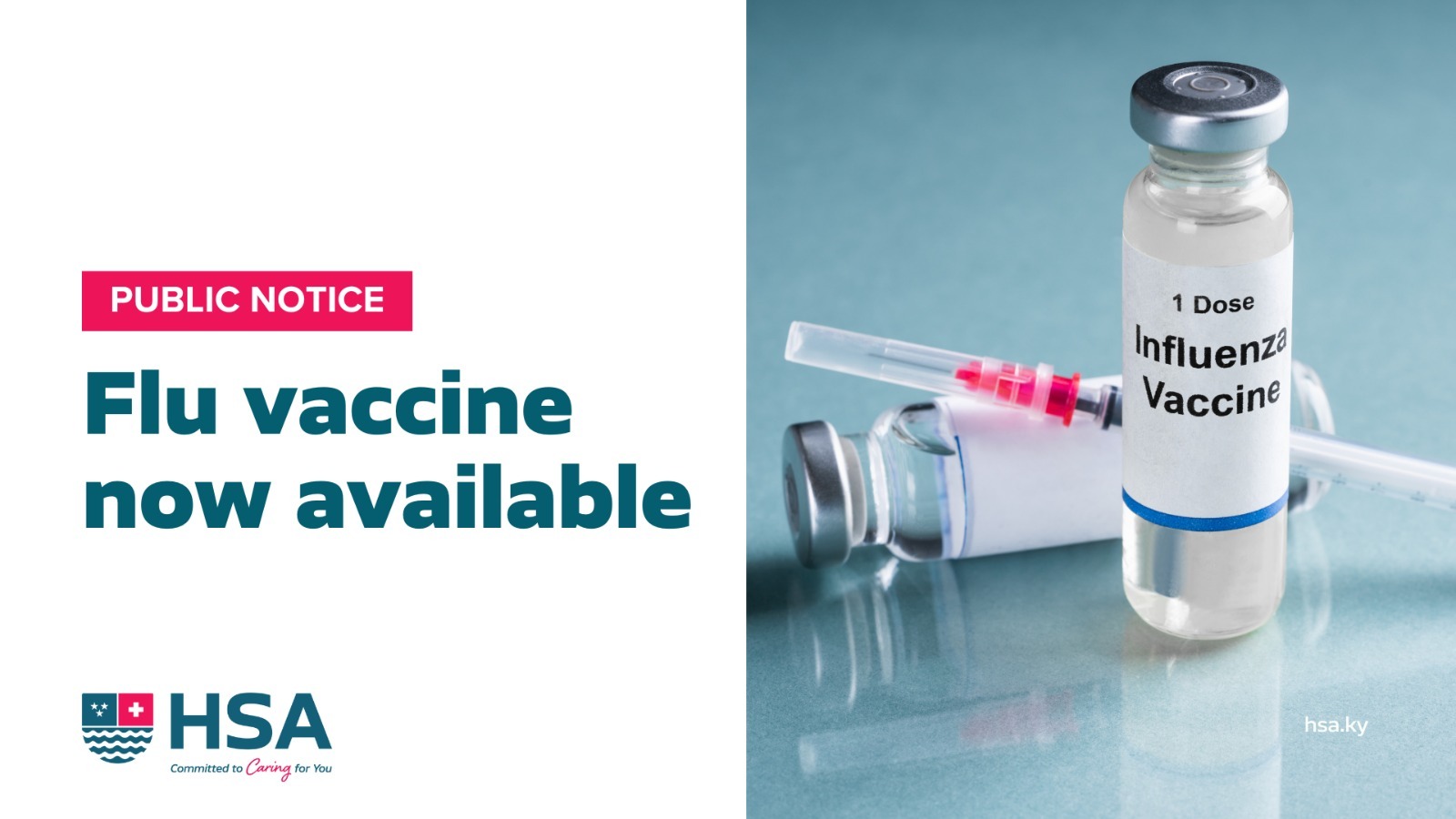 Flu vaccine now available | HSA