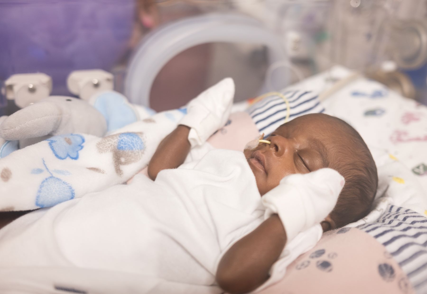 HSA’s NICU marks Prematurity Day, highlighting miracle that… | HSA